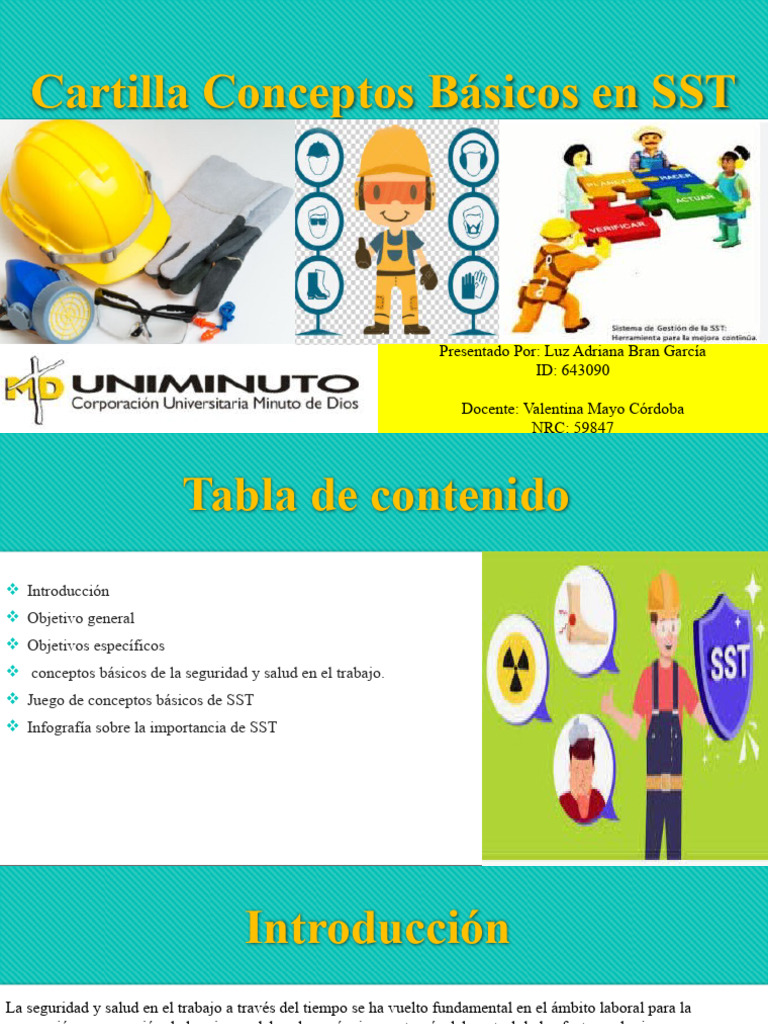 Conceptos Básicos de SST y Normativa | PDF
