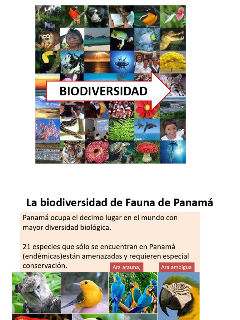 BIODIVERSIDAD fauna panameña 21 | PDF | Especie en peligro | Panamá