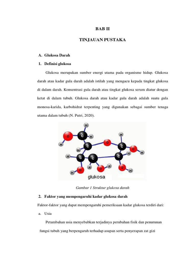 BAB II Tinjauan Pustaka - POCT (Point of Care Testing) .GULA | PDF