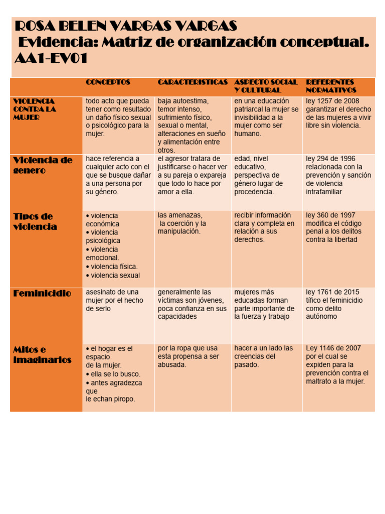 Matriz de Organización Conceptual. AA1-EV01 | PDF | La violencia contra ...