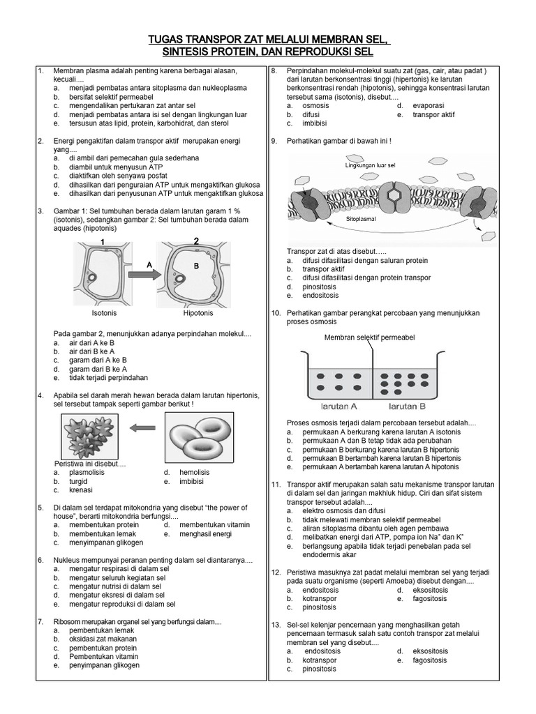 Transpor Zat, Sintesis Protein, Dan Pembelahan Sel | PDF