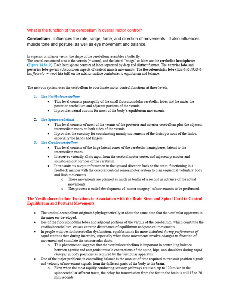 Cerebellum in Overall Motor Control | PDF | Cerebellum | Cerebral Cortex