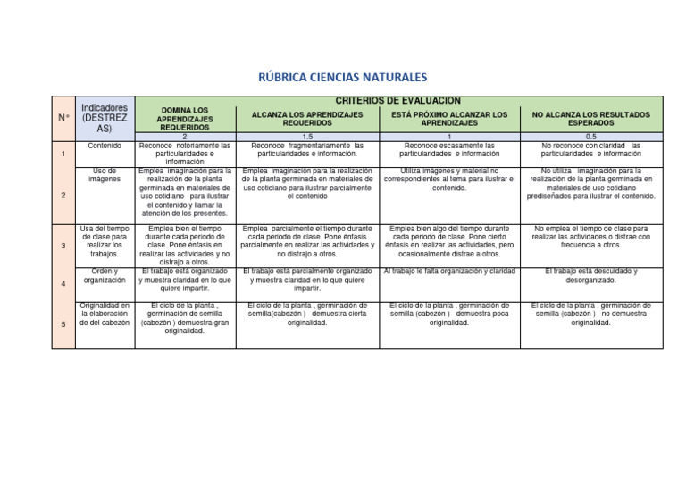 RÚBRICA CIENCIAS NATURALES 3ros | PDF