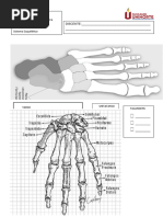 Geoguessr Guide | PDF | Europa Oriental | Europa