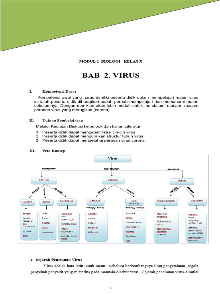 Struktur Kapsid Virus dan Kapsomer | PDF