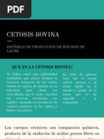 Ficha Técnica Del Pasto Imperial (Axonopus Scoparius, Hitchc) | PDF ...