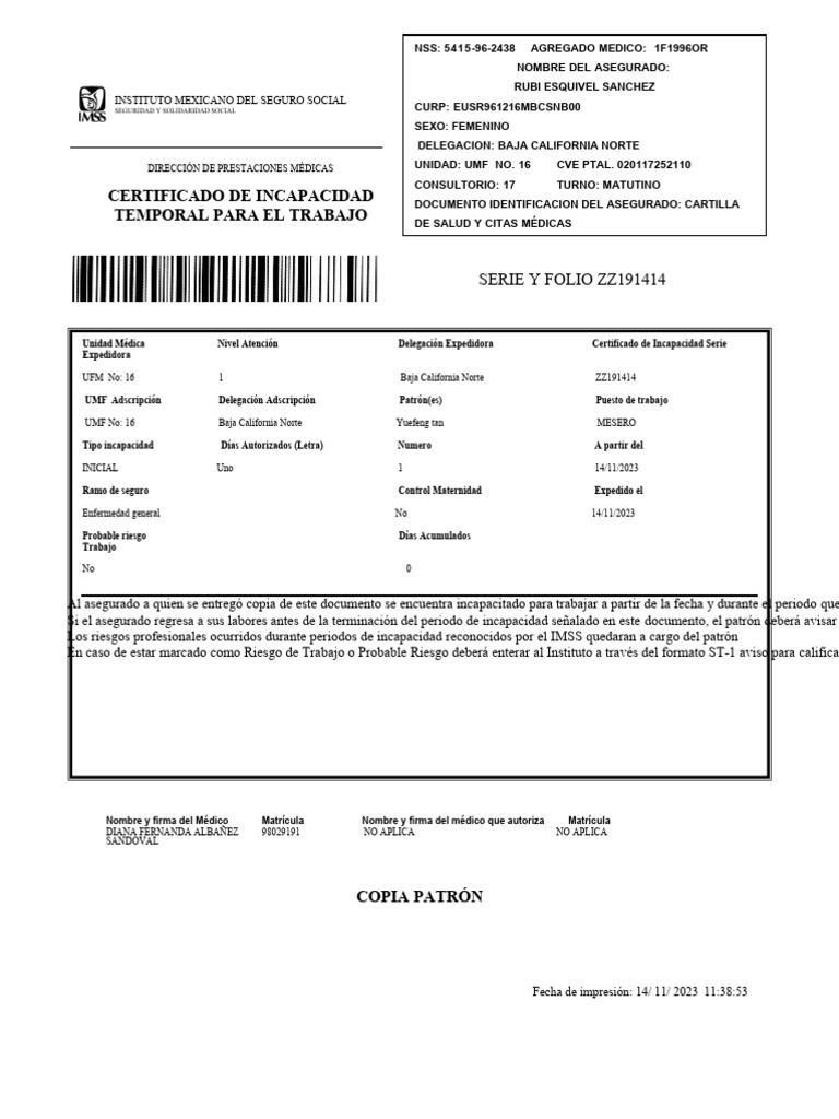 Formato Incapacidad Imss Editable Word | PDF | Ciencias de la Salud ...