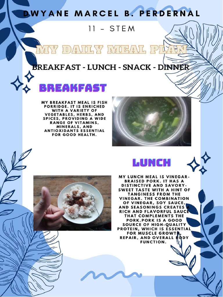 My Daily Meal Plan | PDF