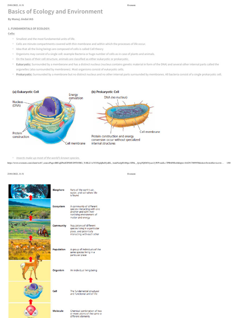 Basics of Ecology and Environment - Manuj Jindal IAS | PDF