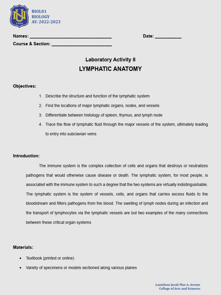 Laboratory 8 | PDF | Lymphatic System | Lymph Node