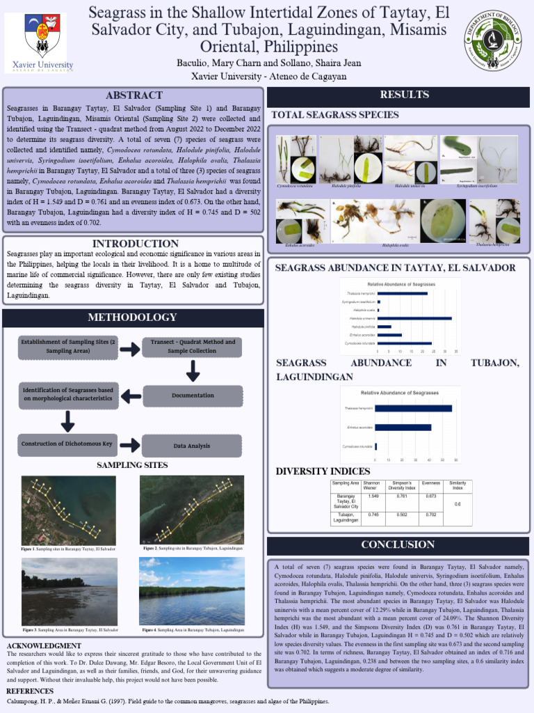 Poster Thesis | PDF | Ecology | Marine Biology