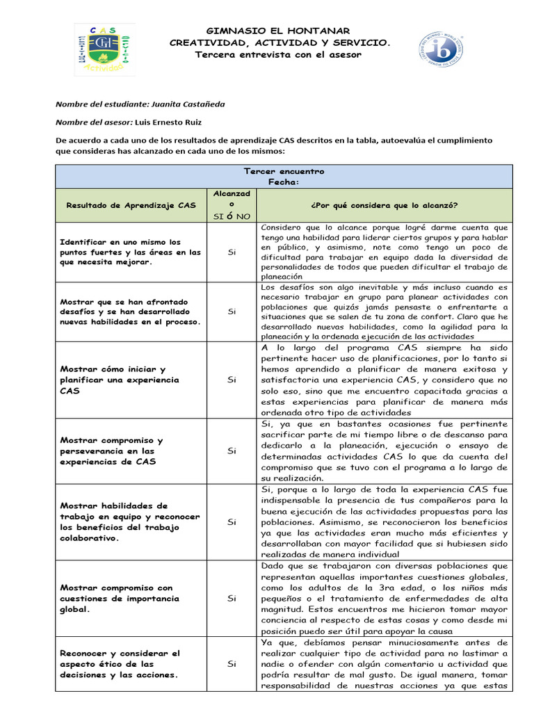 Tercera Entrevista Con El Asesor (1) | PDF | Planificación | Creatividad