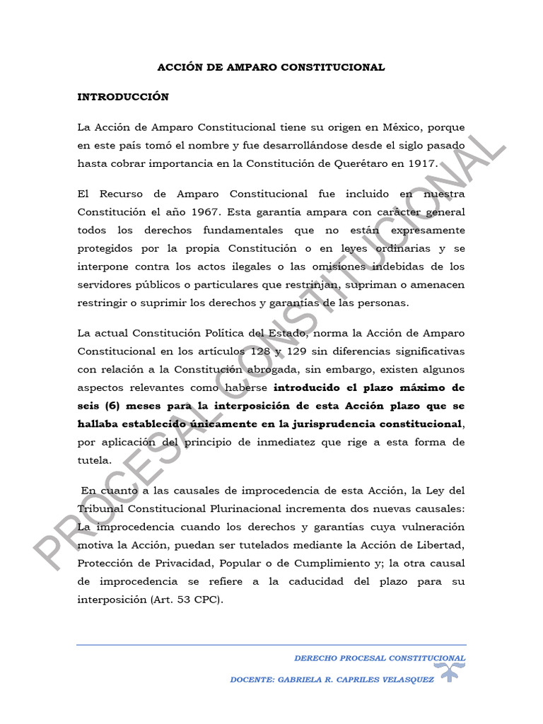 Acción de Amparo Constitucional: Naturaleza y Procedimiento | PDF | Derecho Constitucional ...