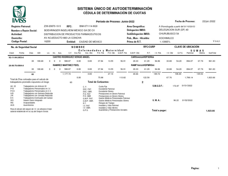 Cedula Oportuno Obr-Pat - Bimestral Imss | PDF | Relaciones laborales ...