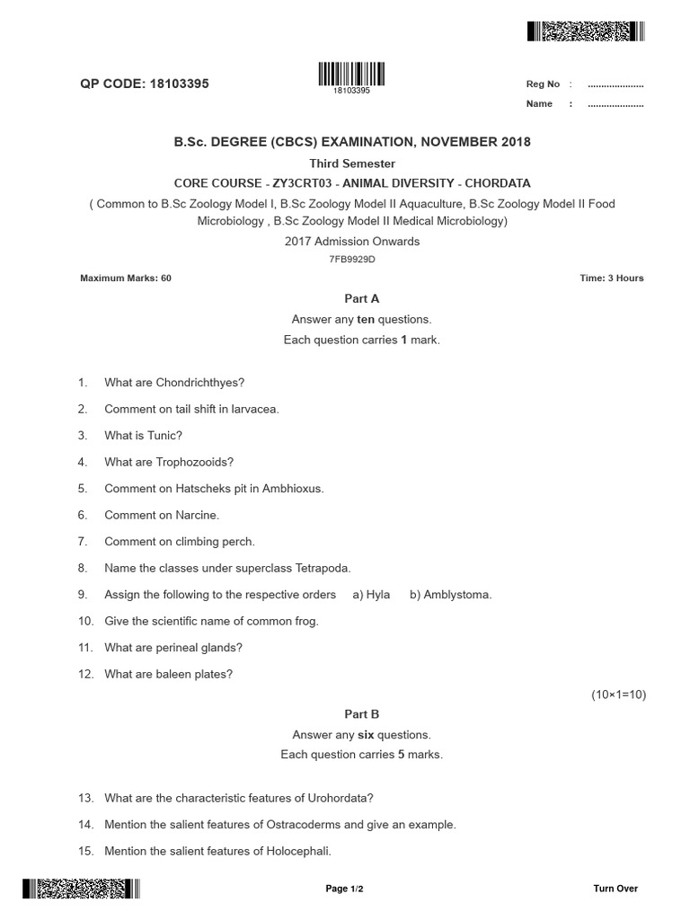 Animal Diversity: Chordata Exam Papers | PDF | Mammals | Fish