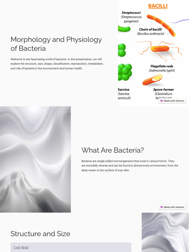 Morphology and Physiology of Bacteria | PDF | Bacteria | Cell (Biology)