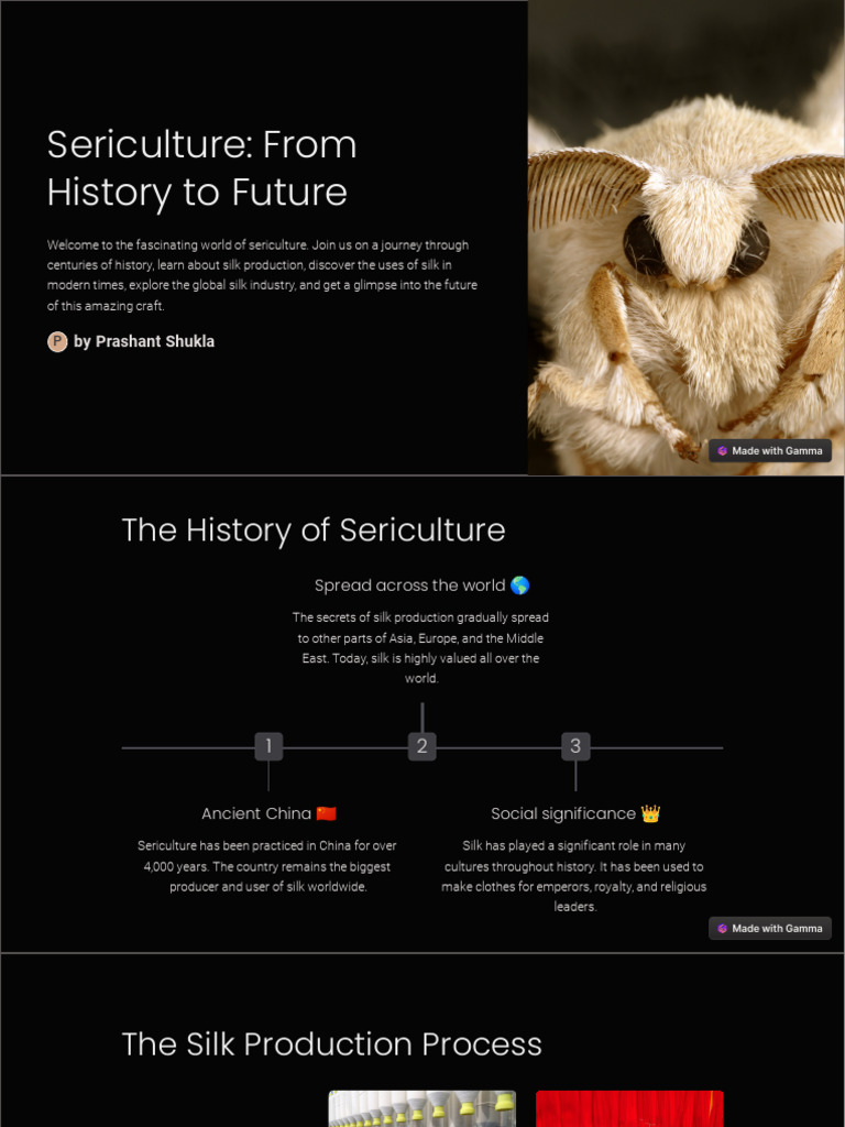 Sericulture From History To Future | PDF | Silk | Textiles