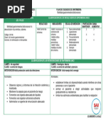 Place Diada Fetal | PDF | El embarazo | Parto