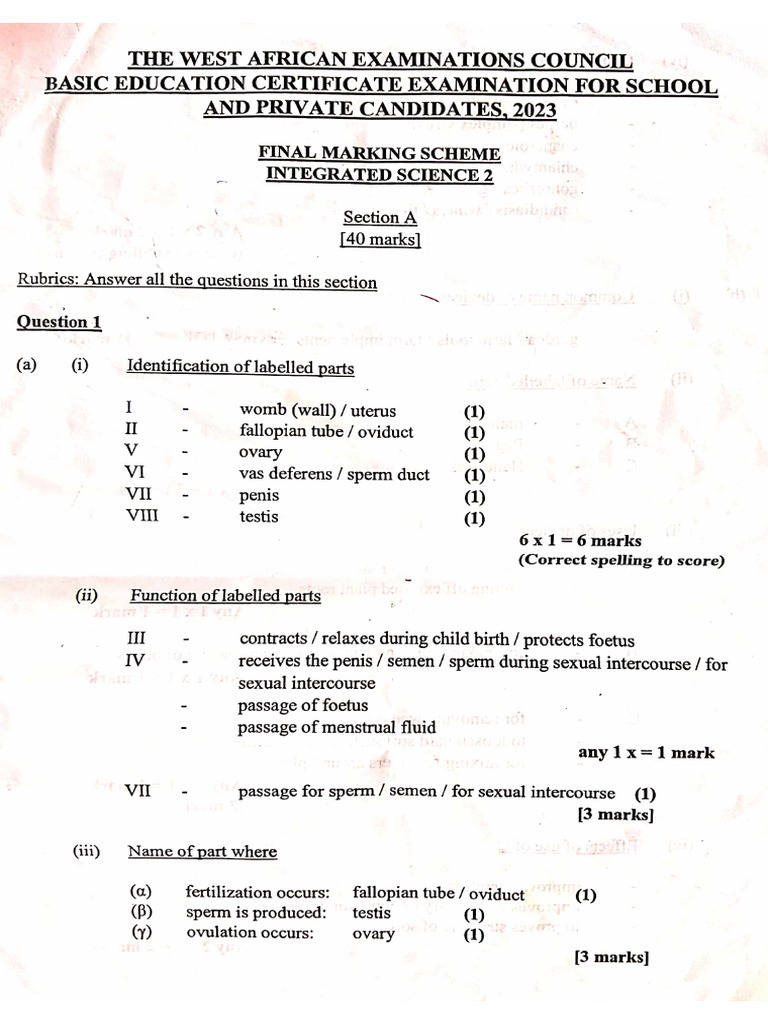 BECE 2023 Marking Scheme | PDF
