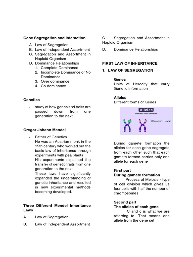 Gene-Segregation-and-Interaction-Hand-out-beb | PDF | Dominance ...