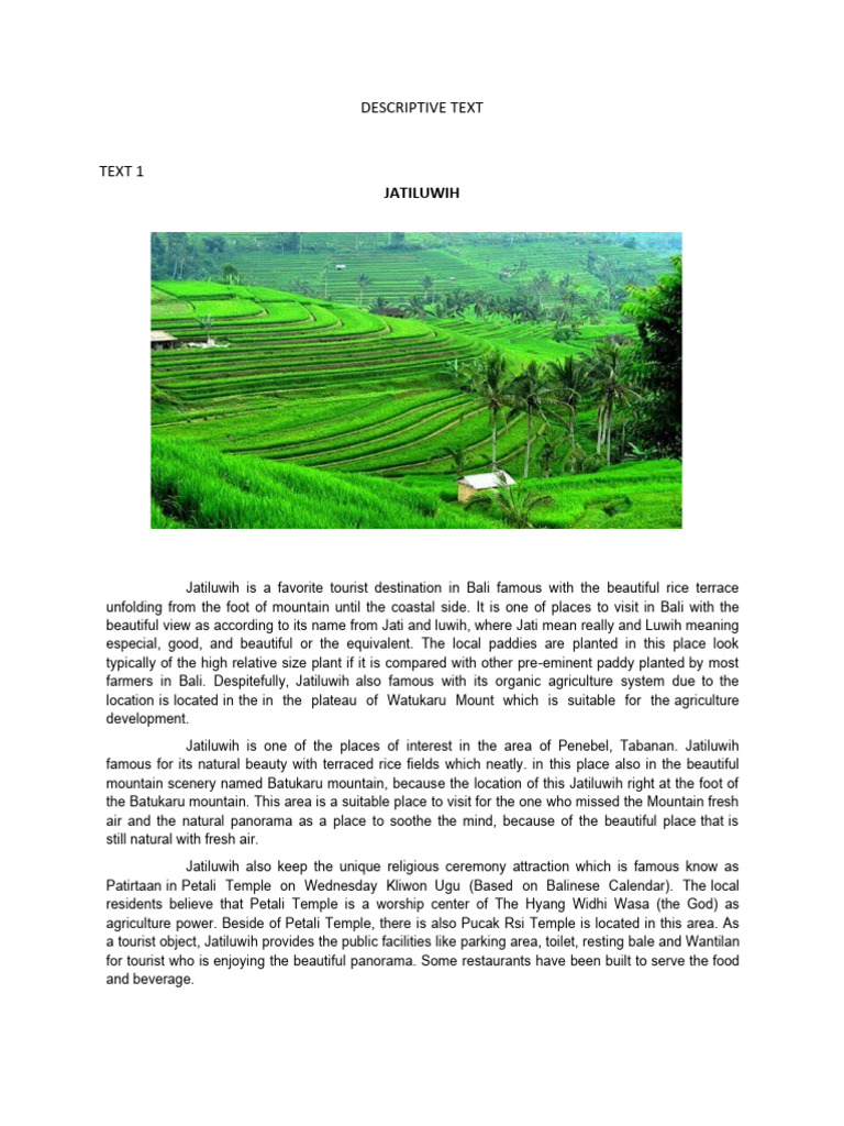 Contoh Descriptive Text | PDF