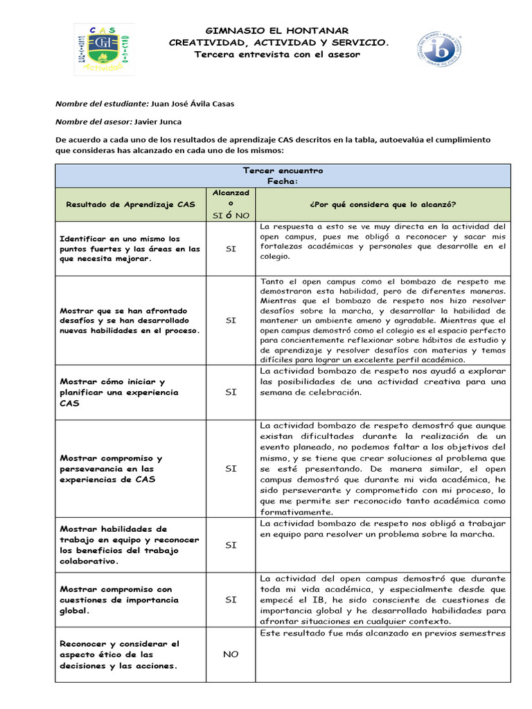 Tercera Entrevista Con El Asesor | PDF | Aprendizaje | Creatividad