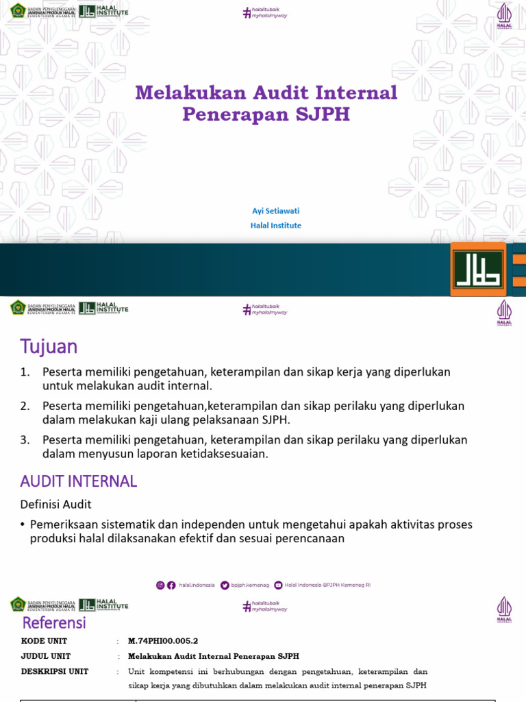 Audit Internal SJPH | PDF