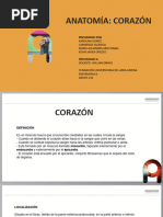 Esqueleto Fibroso del Corazón: Funciones y Estructura | PDF | Corazón ...
