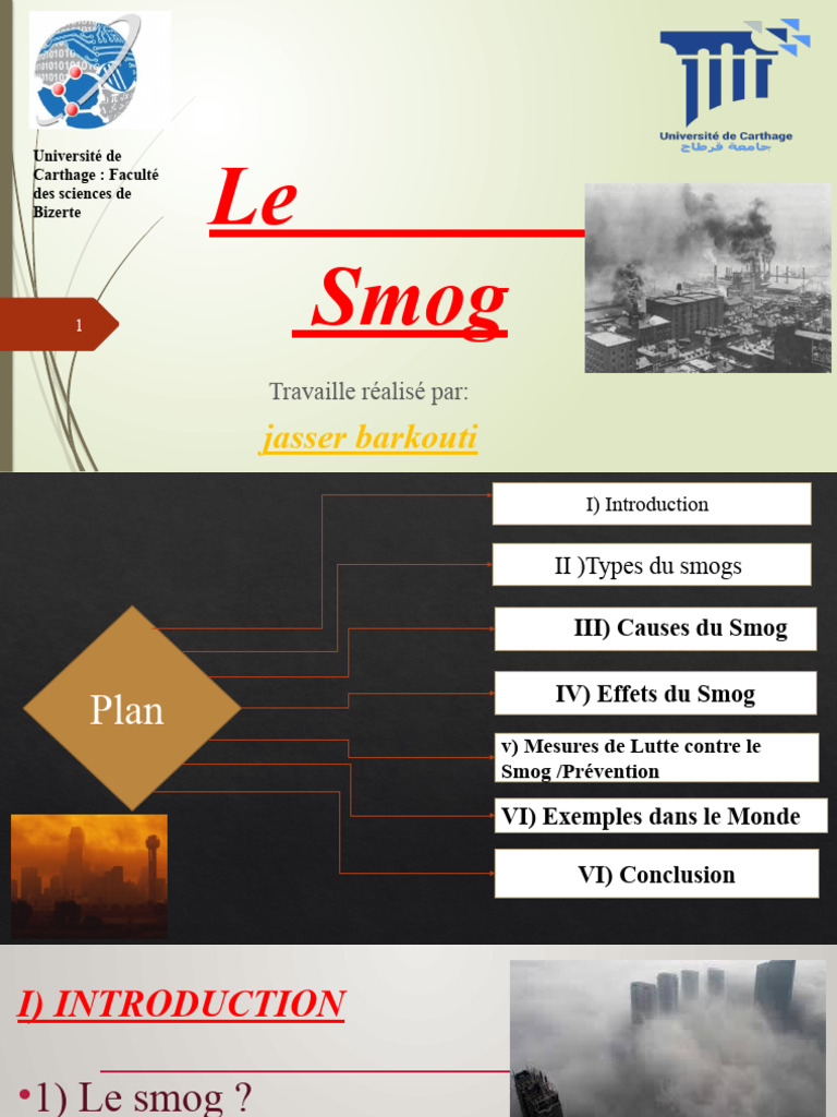 Comprendre et Combattre le Smog | PDF | Smog | Pollution de l'air