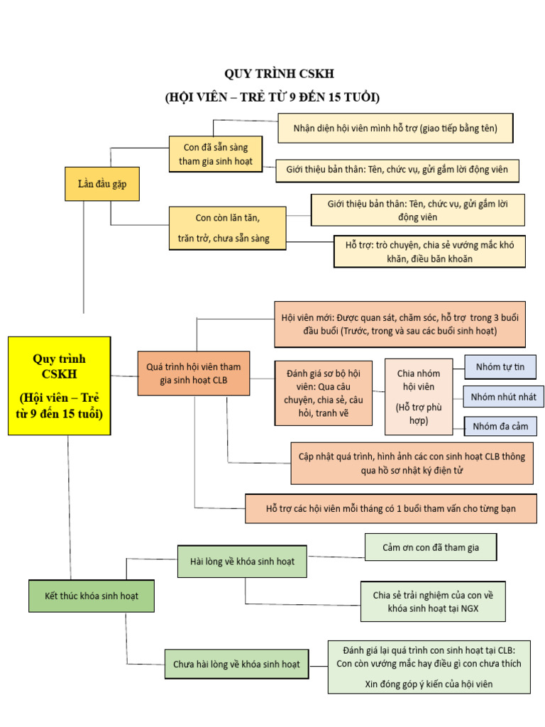 QUY TRÌNH CSKH HỘI VIÊN | PDF