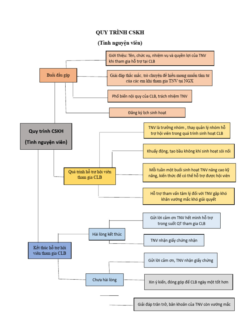 QUY TRÌNH CSKH TNV | PDF