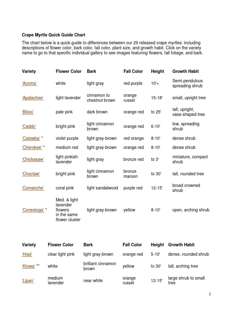 Crape Myrtle Varieties Comparison Chart | PDF | Trees | Shrub