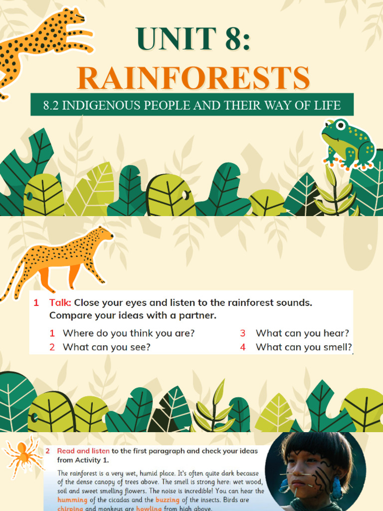 Unit 8: Rainforests | PDF