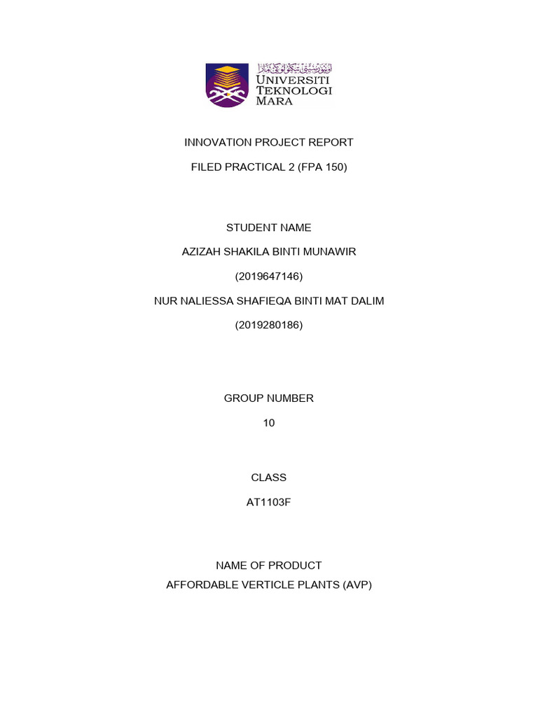 Innovation Project Report | PDF