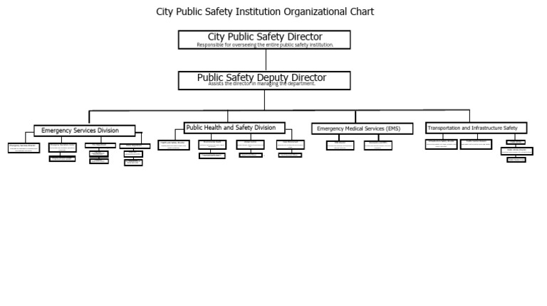 orgchart | PDF | Emergency Medical Services | Safety