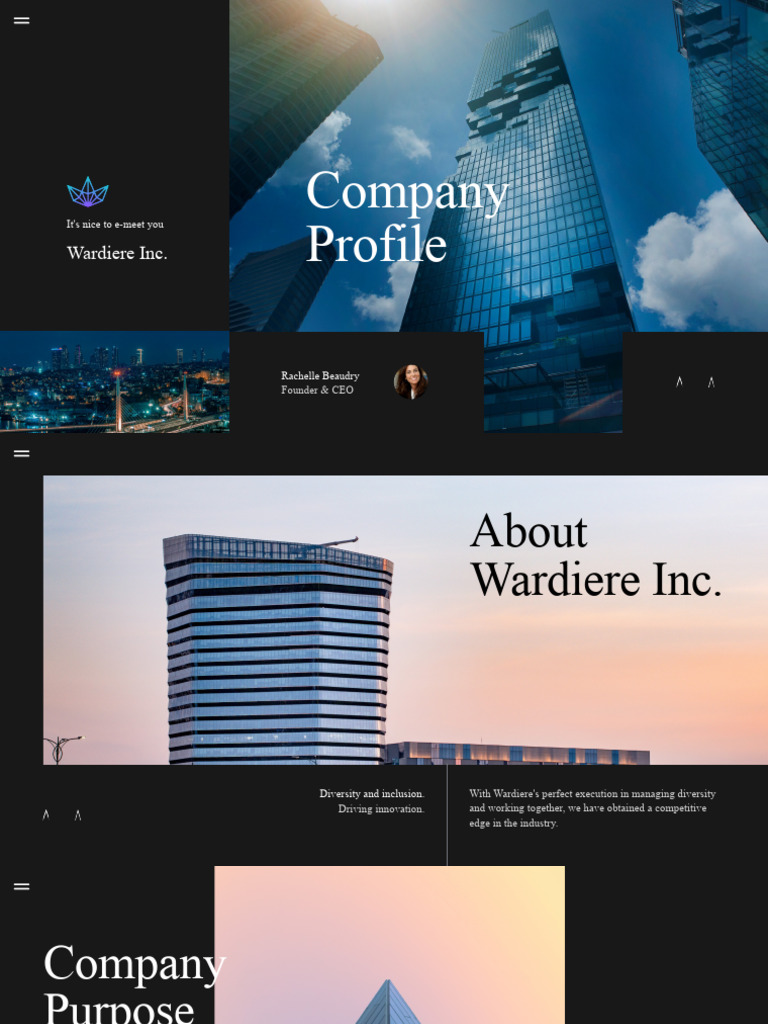 Wardiere Inc. Company Overview | PDF | Audit | Sustainability