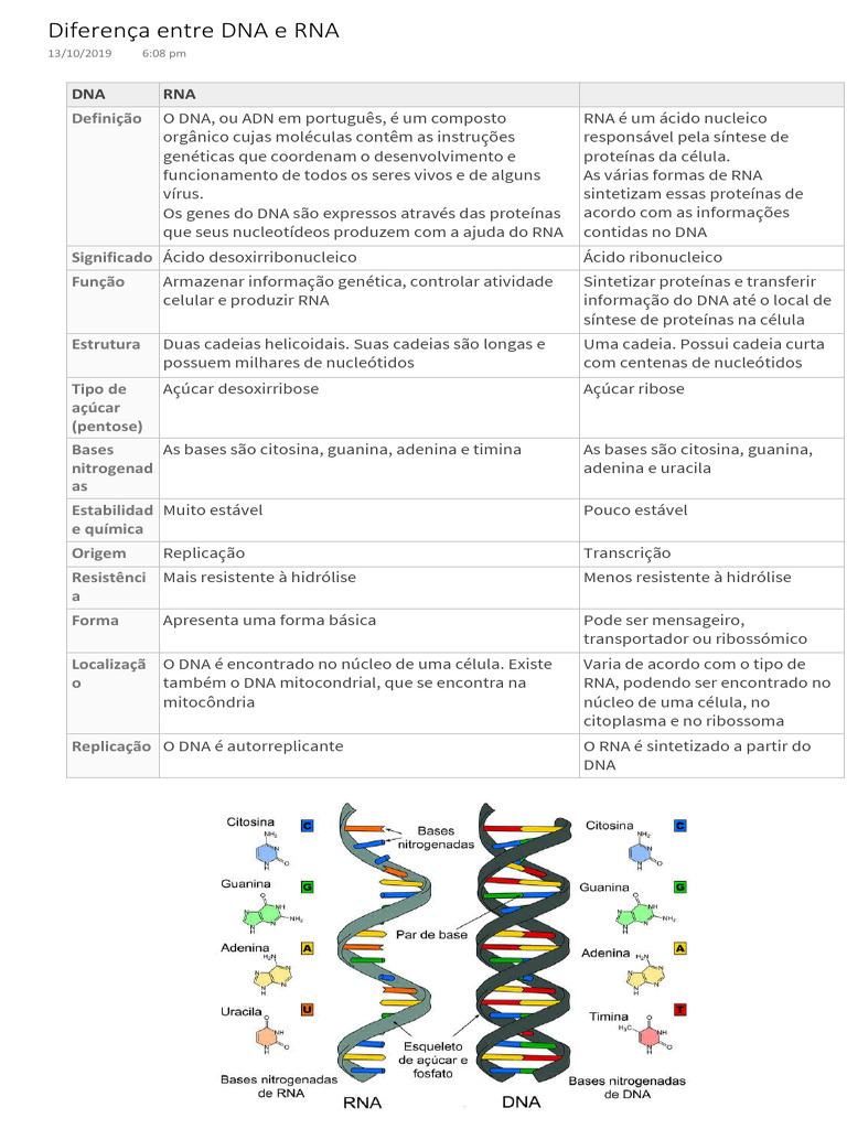 Diferença entre DNA e RNA | PDF | RNA | DNA