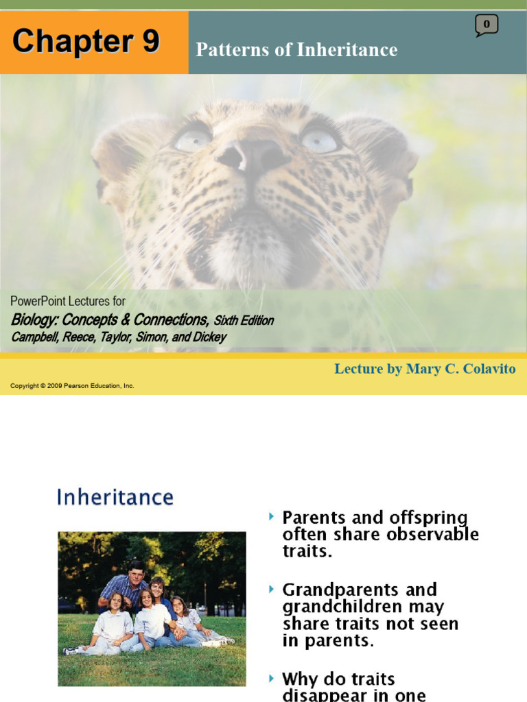 09 Lecture Presentation | PDF | Genotype | Dominance (Genetics)