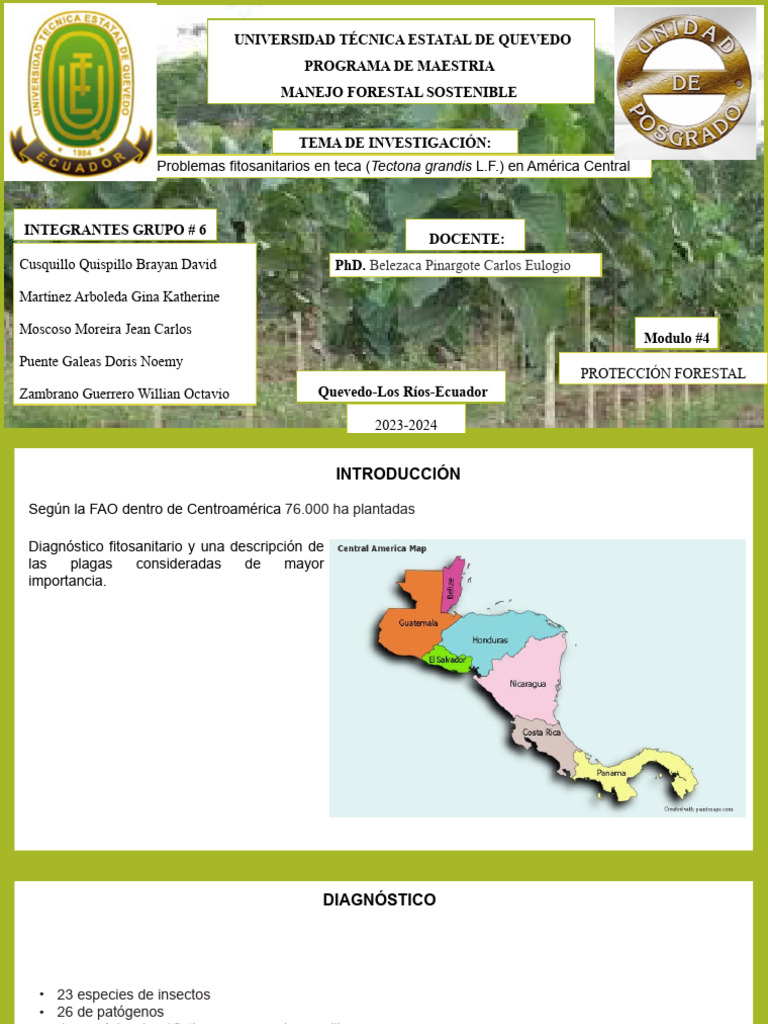 Problemas Fitosanitarios en Teca | PDF | Organismos | Plantas
