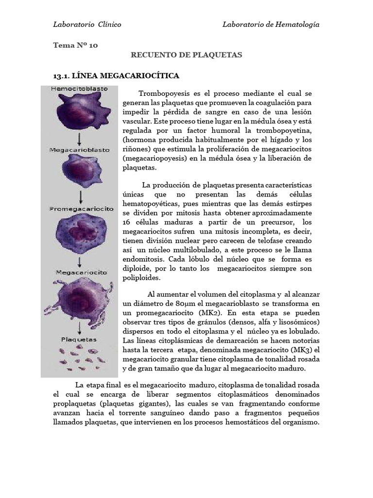 Tema #10 Recuento Plaquetas | PDF | Plaqueta | Hemostasia Tema #10 Recuento Plaquetas | PDF | Plaqueta | Hemostasia
