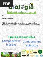 Sesion - de - Aprendizaje Clasificacion de Las Plantas | PDF | Plantas ...