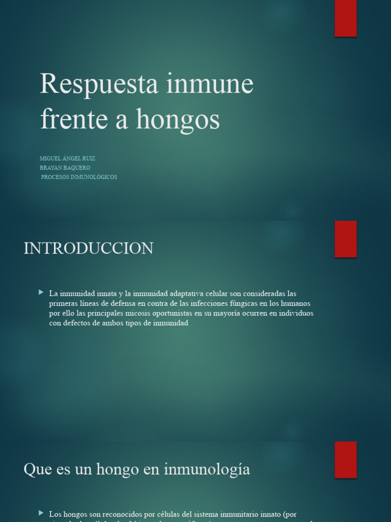 Respuesta Inmune Frente A Hongos | PDF | Sistema inmune | Sistema inmune innato