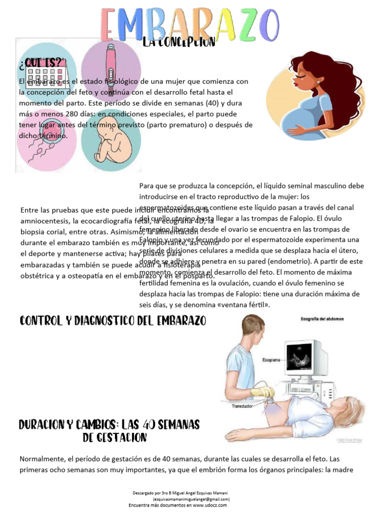 Emba Razo | PDF | El embarazo | Parto