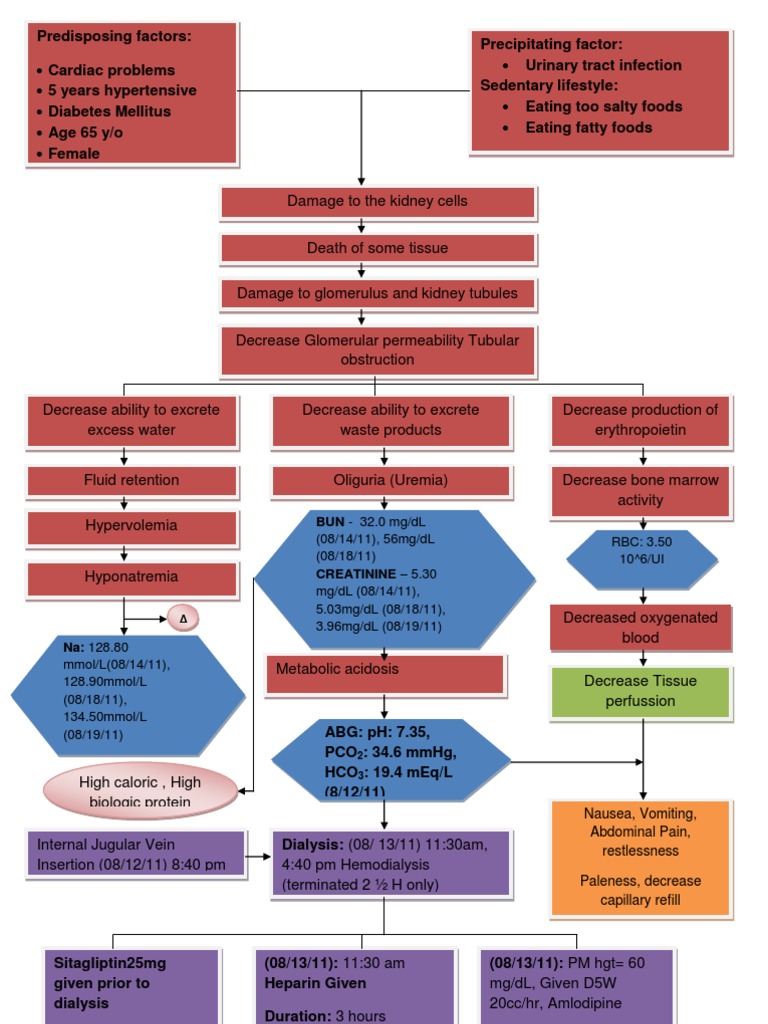 Kidney Damage and Complications Overview | PDF