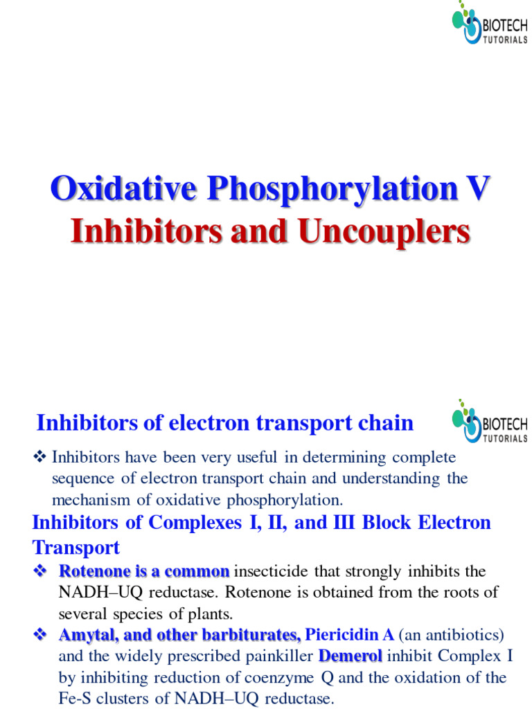 Oxidative Phosphorylation V Inhibitors and Uncouplers | Download Free ...