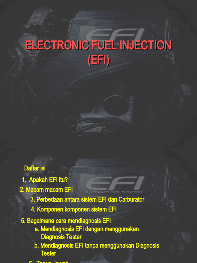 EFI Presentation | PDF