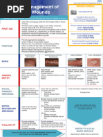 Flamazine® Cream for Burn Care | PDF | Wound | Dermatitis