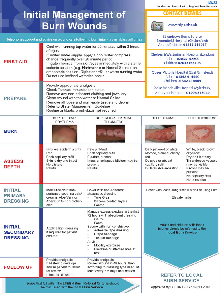 LSEBN Initial Management of Burns | PDF | Burn | Medical Specialties