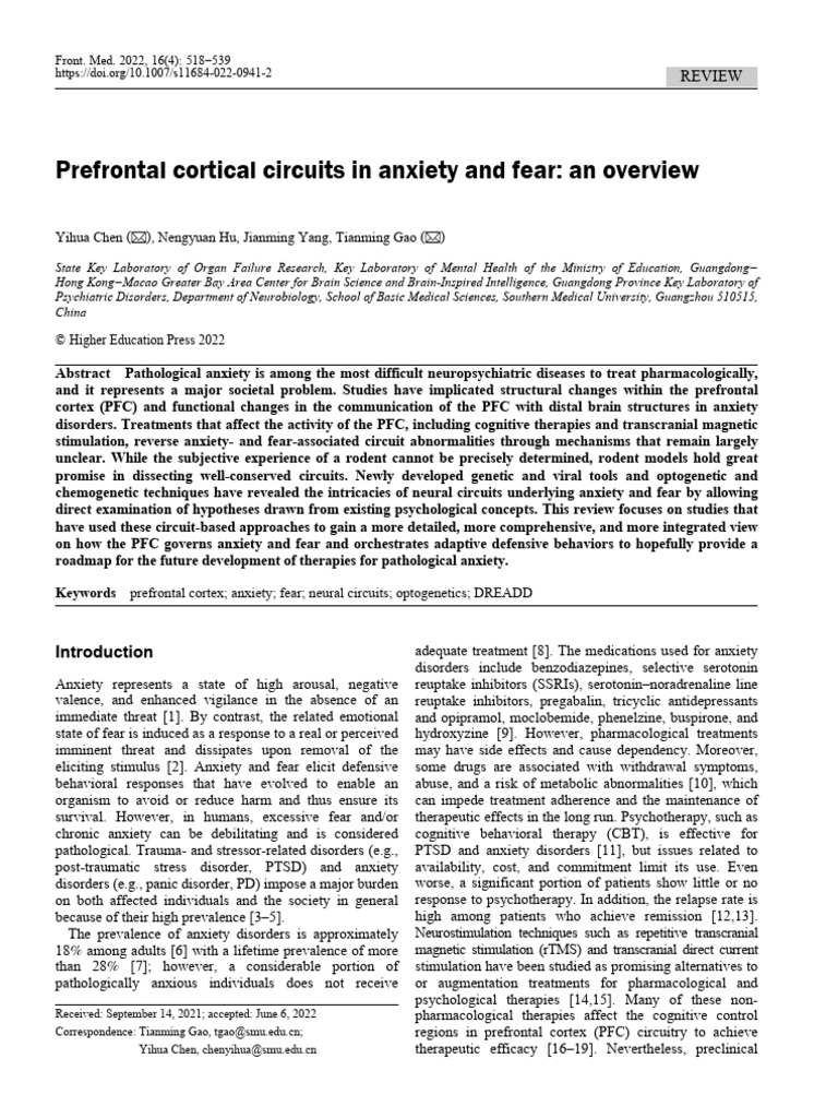 Prefrontal Cortical Circuits in Anxiety and Fear: An Overview | PDF | Prefrontal Cortex ...