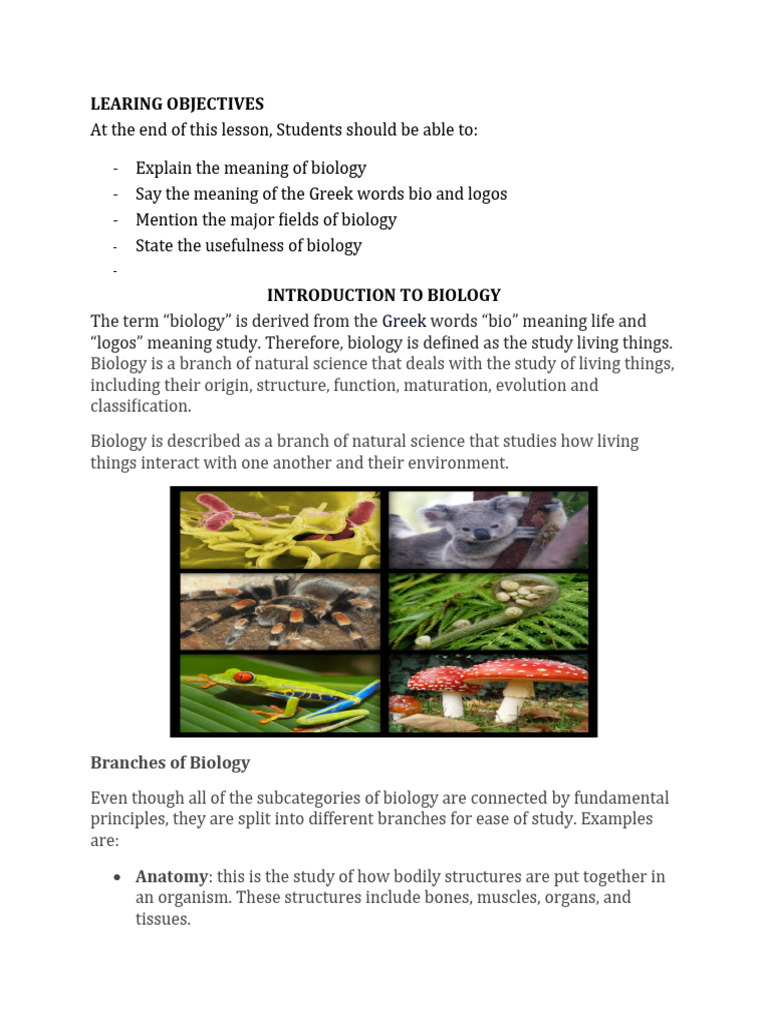 Year 7 Notes | PDF | Cell (Biology) | Cytoplasm